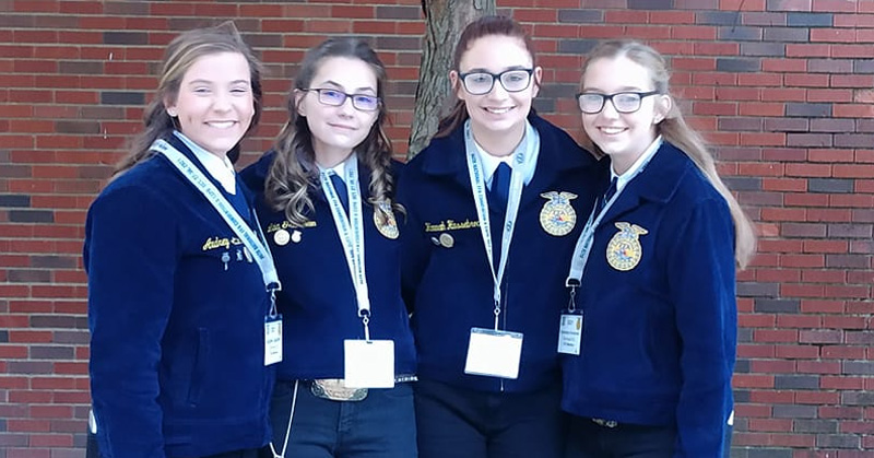 Northview FFA Horse Judging Team Receives Gold Emblem Award At ...