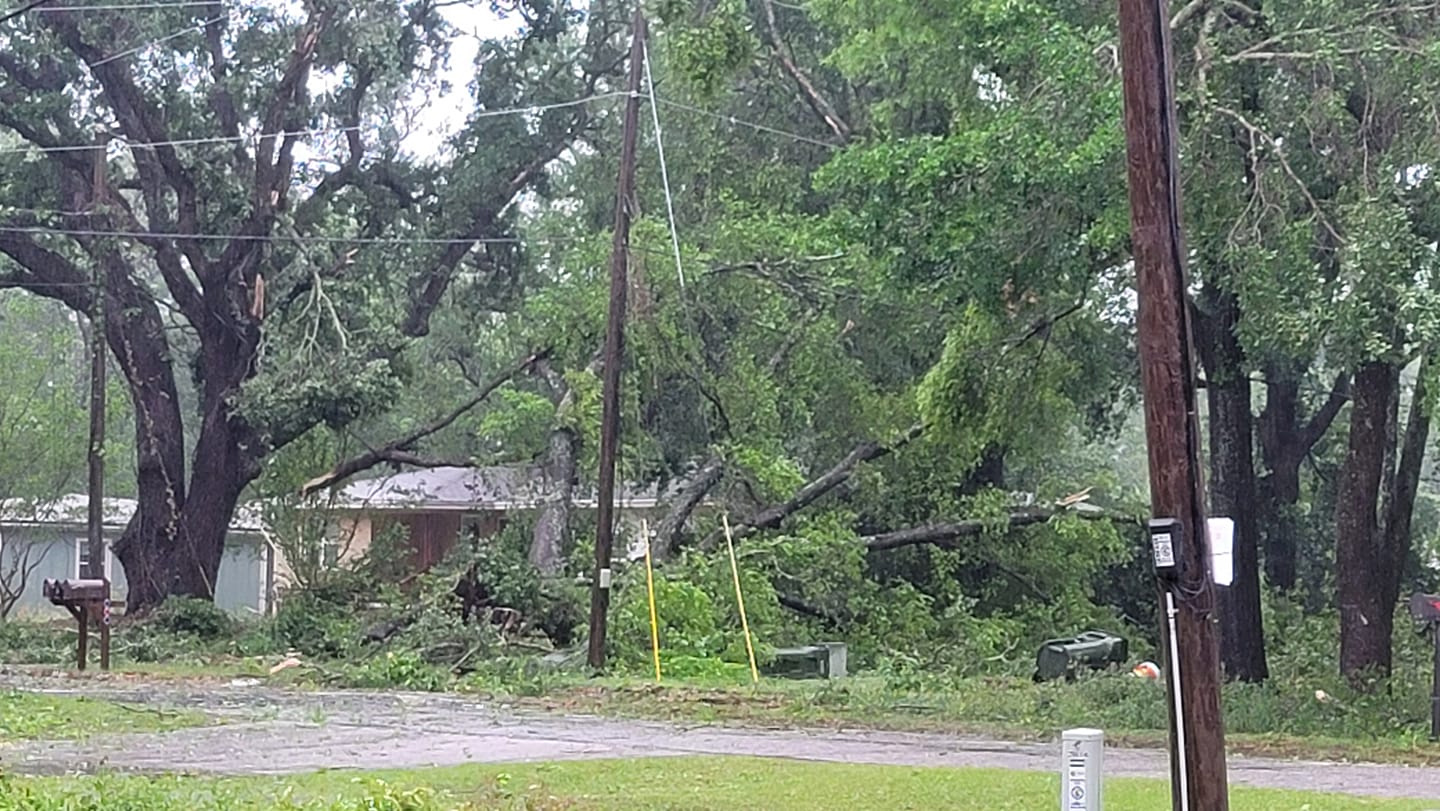 Photo Gallery: Storm Damage In Escambia County : NorthEscambia.com