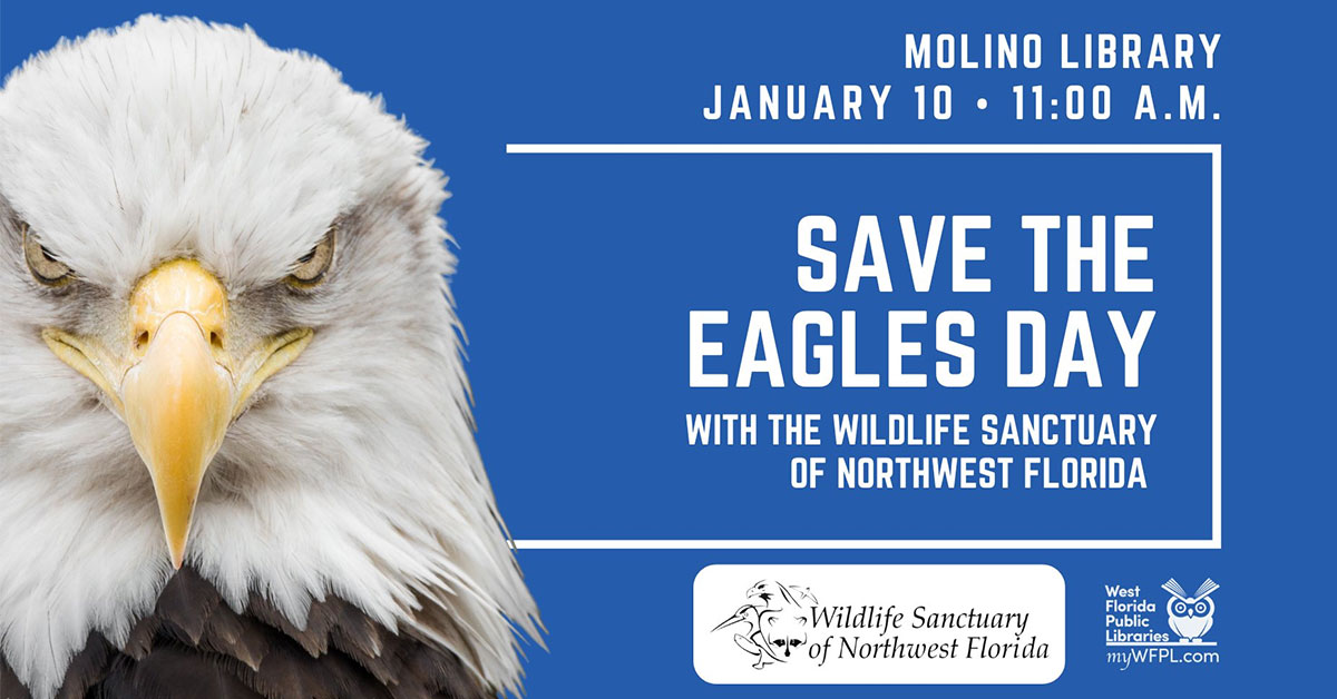 Save The Eagles Day Program Is Saturday At The Molino Library ...