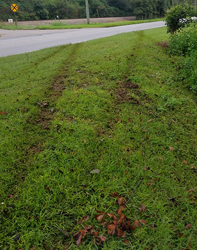 Vehicle Hits Tree In Cottage Hill : NorthEscambia.com