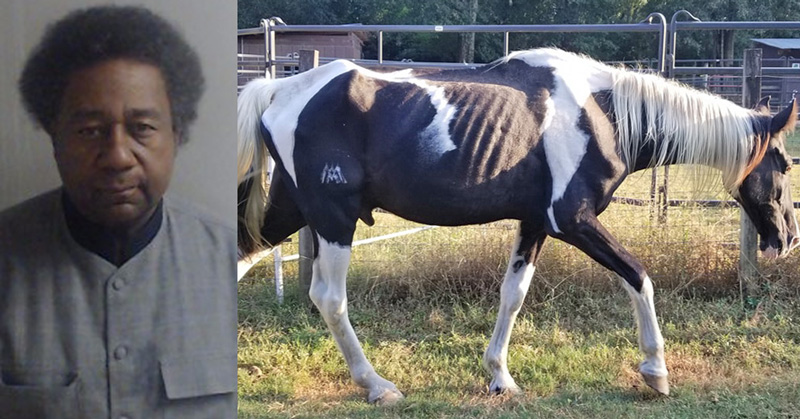 Arrest Made In Cantonment Animal Cruelty Case : NorthEscambia.com