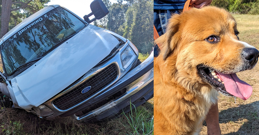 Two Injured In Pickup Truck Crash; Dog Reportedly Ejected ...