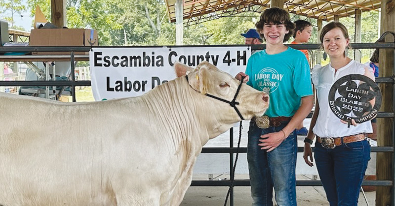 Escambia County 4-H Labor Day Classic Cow Show Winners Announced ...
