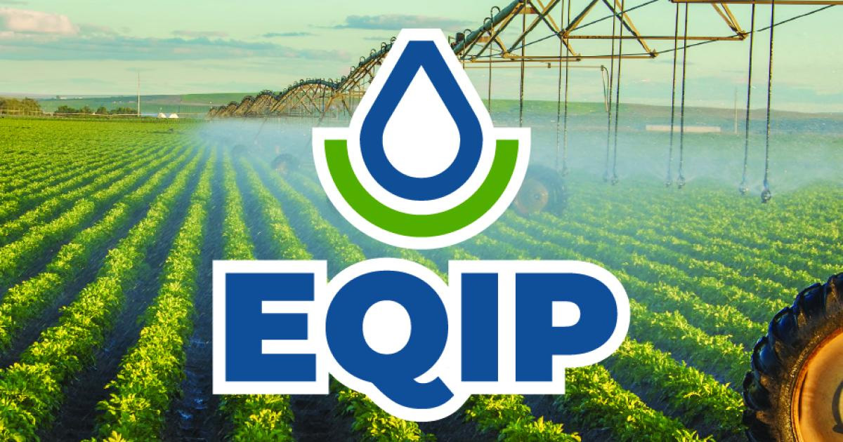 NRCS Florida Accepts EQIP, CSP Applications through November 1 ...