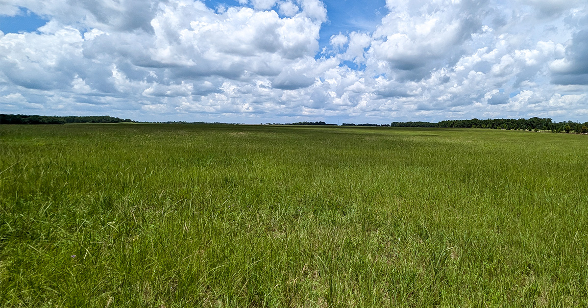 Business Alliance Calls For Escambia County To Deed Part of OLF-8 For ...