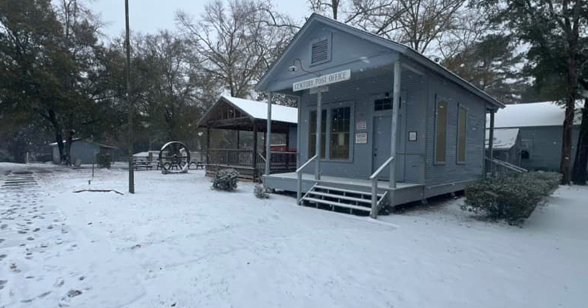 Several Inches Of Snow Fall Across North Escambia Area (With Gallery ...