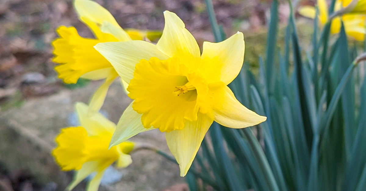 Spring Preview: Mostly Sunny, About 80 Degrees Today : NorthEscambia.com