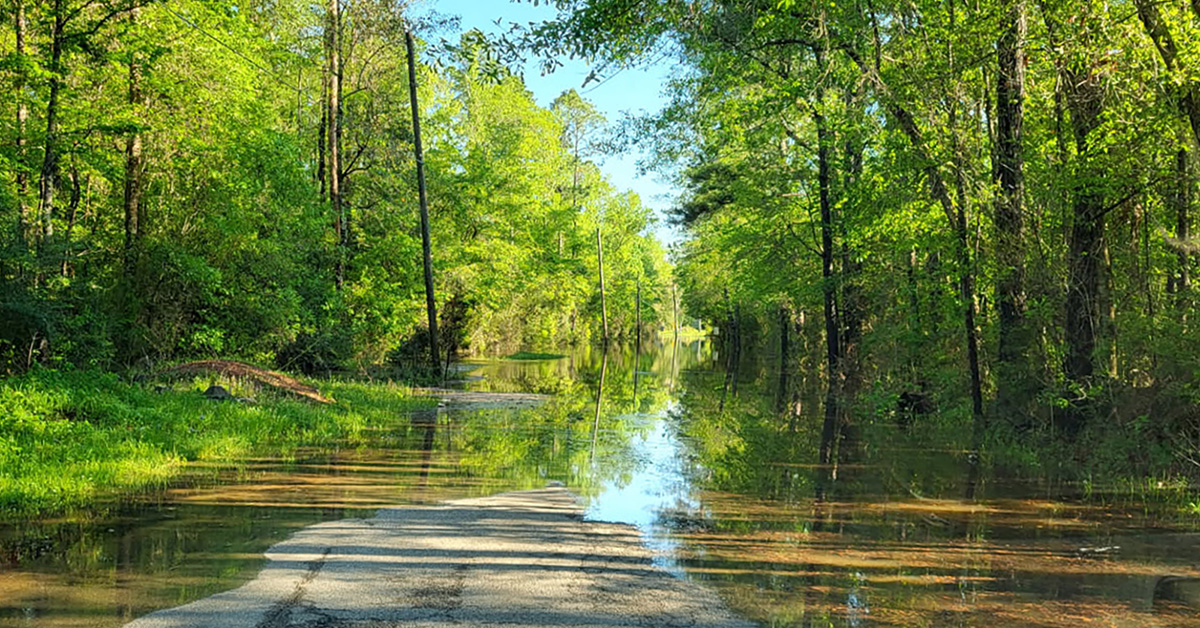 River Annex Road In Cantonment Closed Due To Perdido River Floodwaters ...
