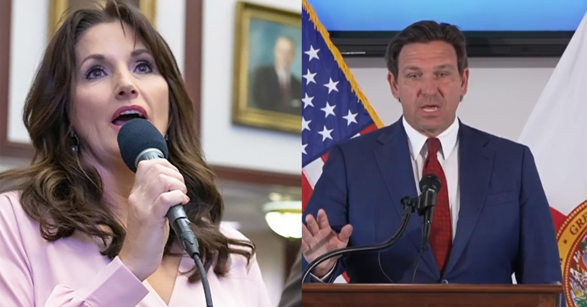 Gov. Ron DeSantis Slams Local Rep. Michelle Salzman Over Higher Ed Bill ...