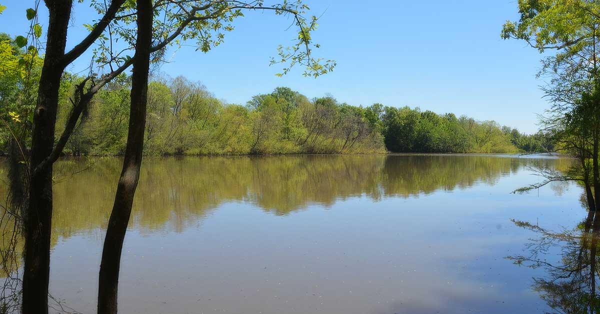Cotton Lake Recreation Area Closed By Flooding; Bluff Springs Reopens ...