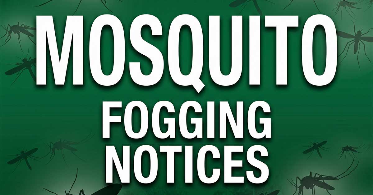 Mosquito Control To Spray Tonight In Parts Of Cantonment, Quintette ...